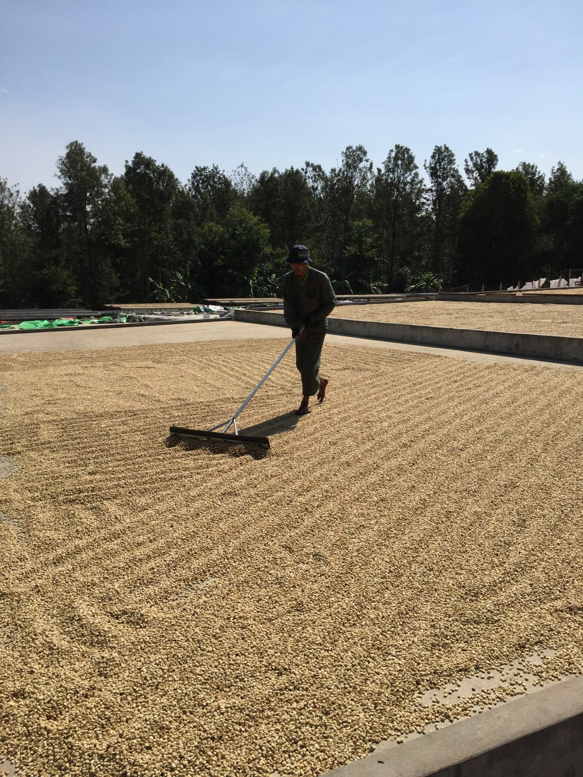 Specialty Coffee Online Store – Allpress Espresso UK